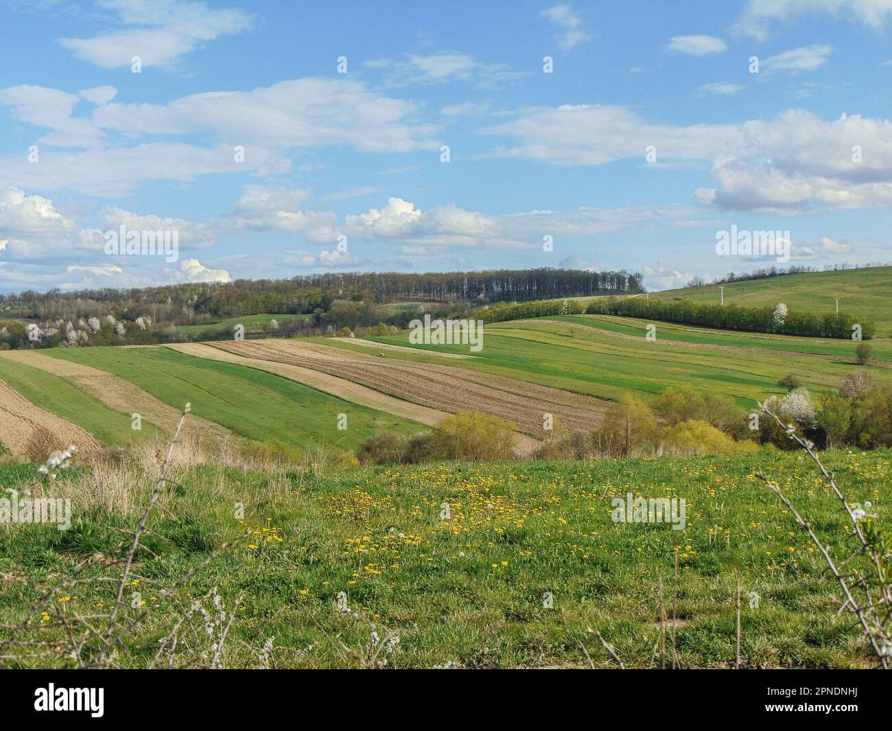 Spring landscape in Romania. Natural landscape in April Stock Photo - Alamy