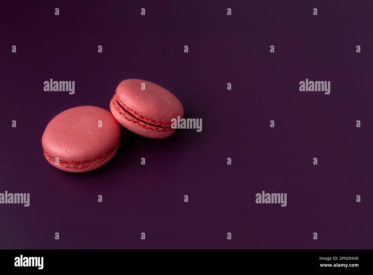 Two pink macaroons on dark purple background Stock Photo - Alamy