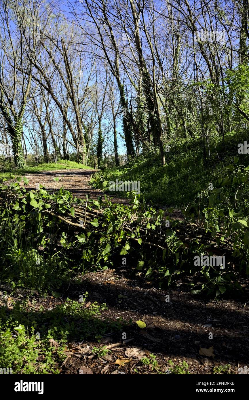 Blocking pathway hi-res stock photography and images - Alamy