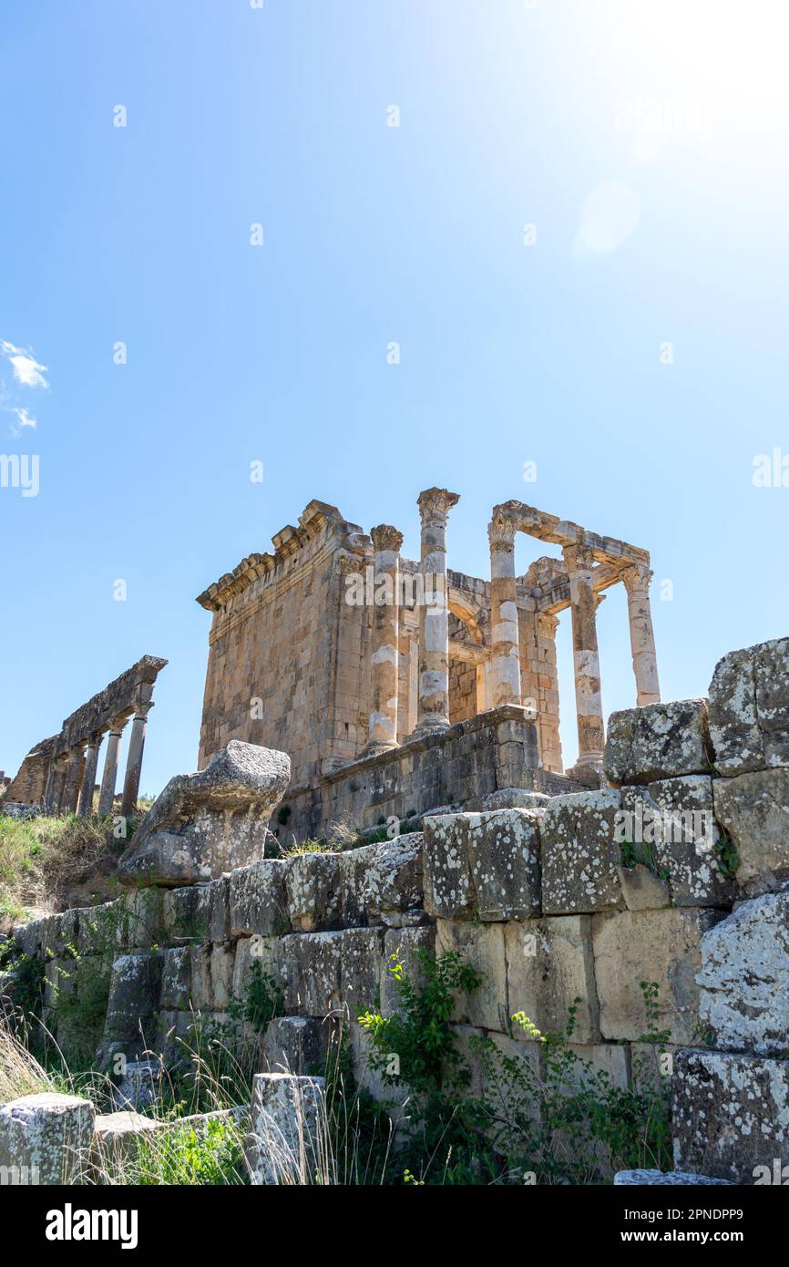Septimia hi-res stock photography and images - Alamy