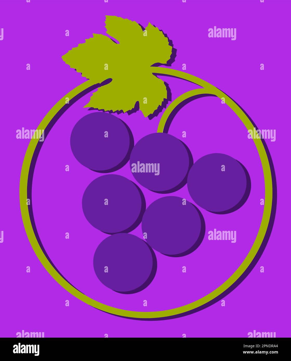 White grape harvest in Stock Vector Images - Alamy