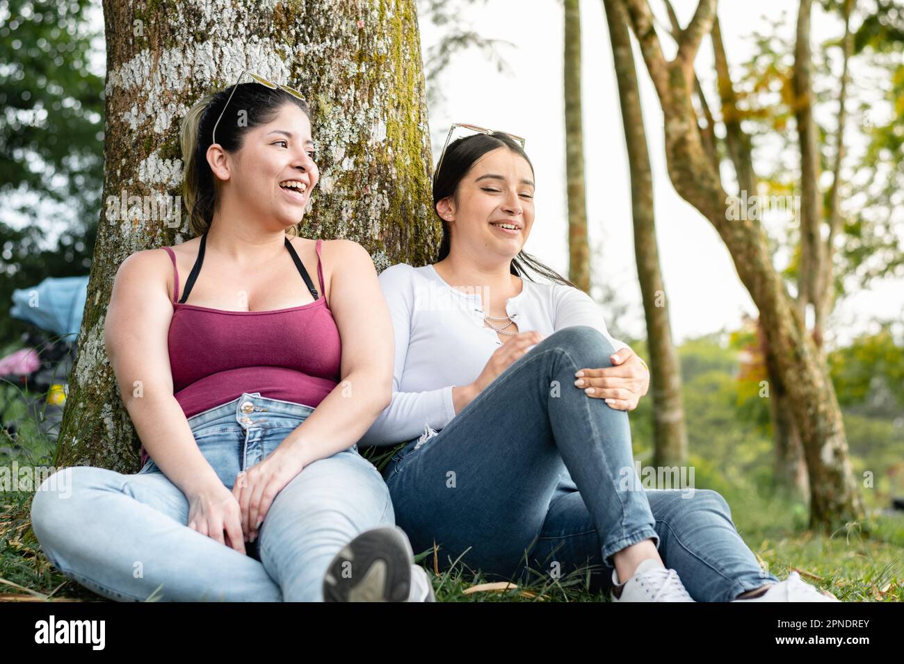 girls sitting next to a tree chatting and laughing a lot. concept of friendship Stock Photo - Alamy