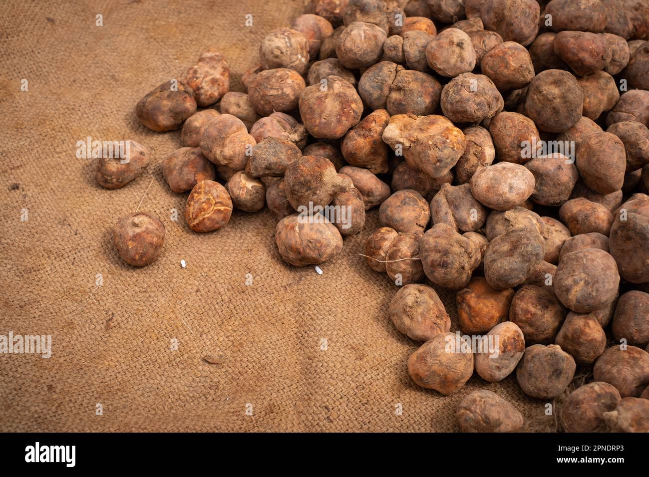 Truffle hi-res stock photography and images - Alamy
