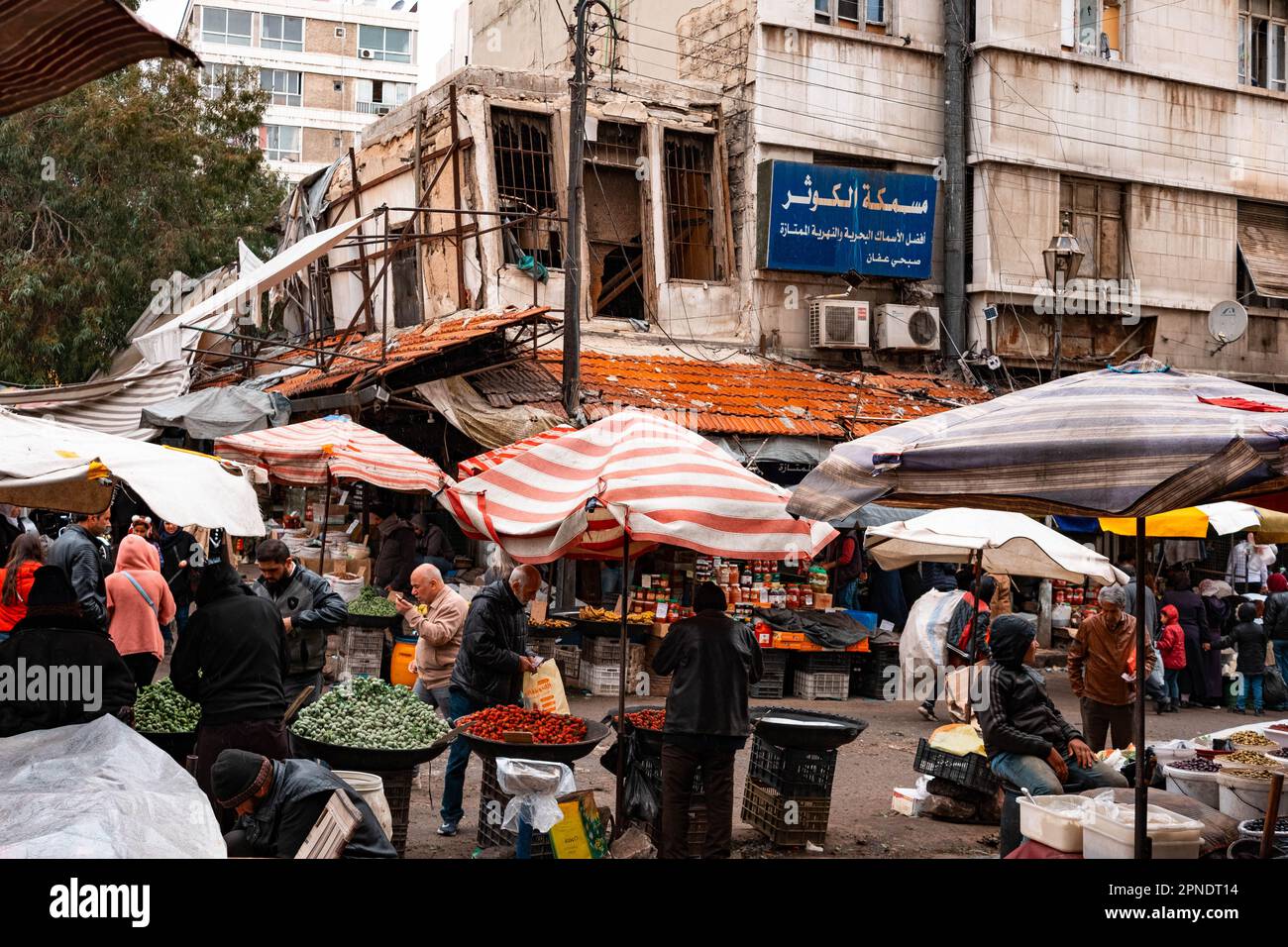 Syrian Food Markets Open