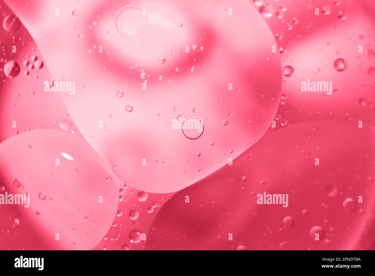 Pink Oil bubbles close up. circles water macro. abstract shiny viva ...