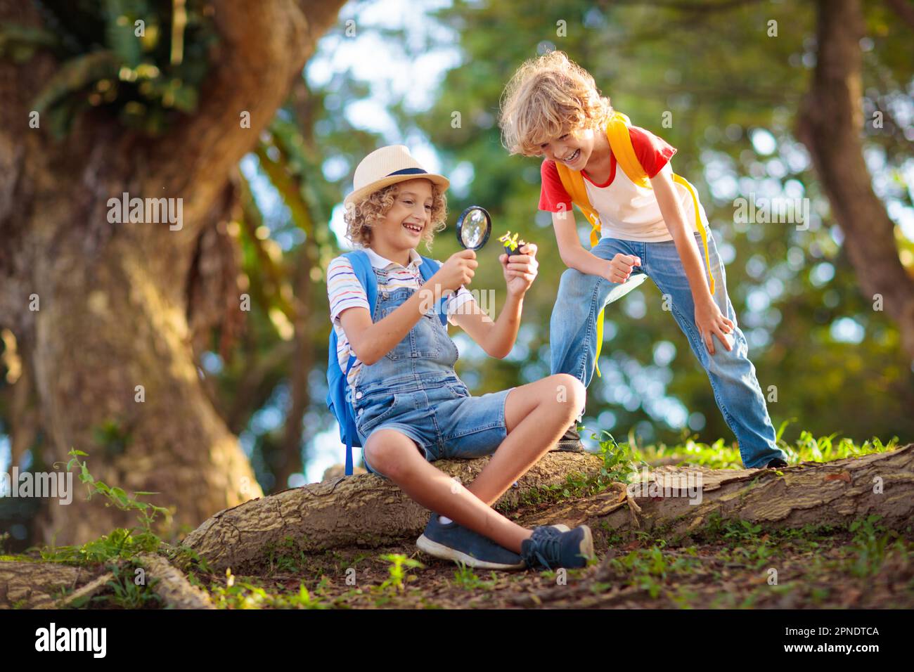 Kids explore nature. Children hike in sunny summer park. Scout club and ...