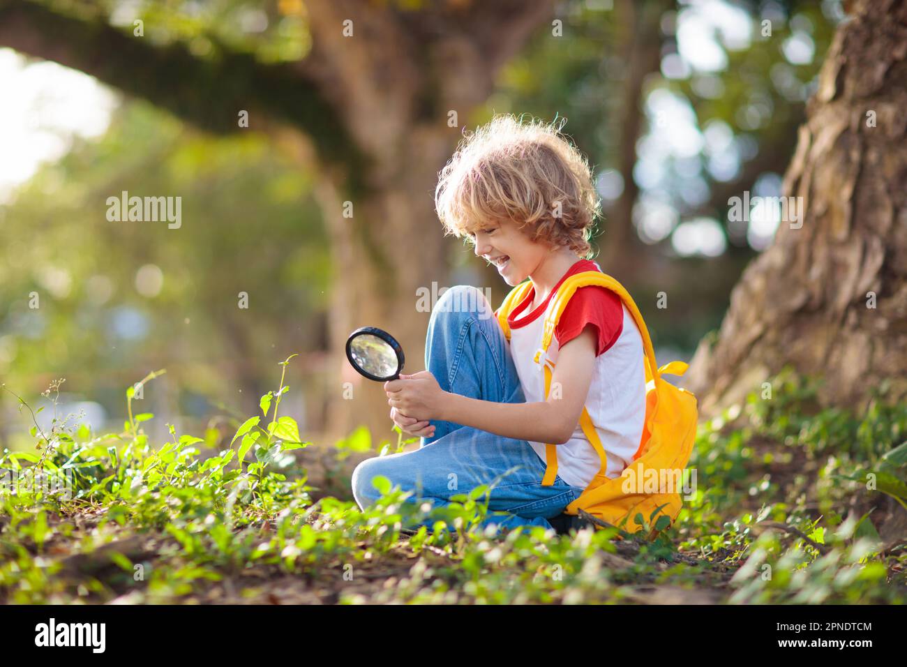Kids explore nature. Children hike in sunny summer park. Scout club and ...