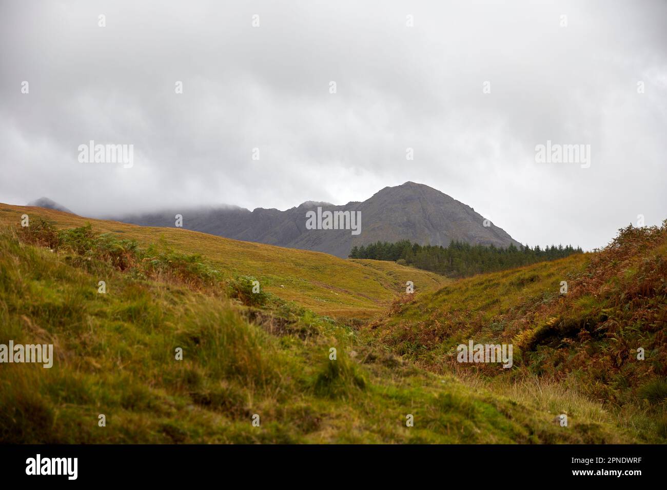 views on the isle of skye, scotland Stock Photo - Alamy