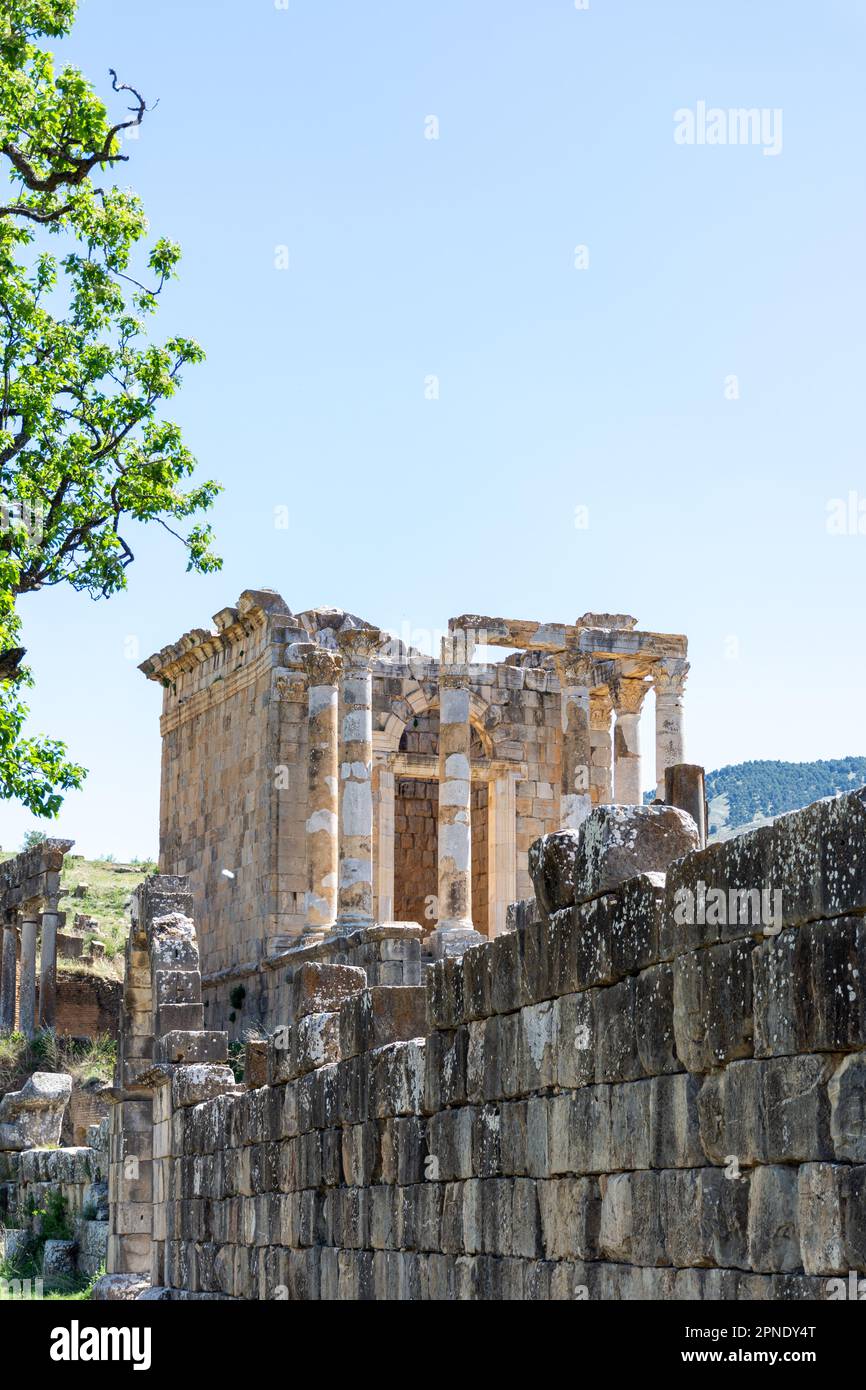 View of (Temple of Gens Septimia) in the ancient city of Cuicul-Djemila ...