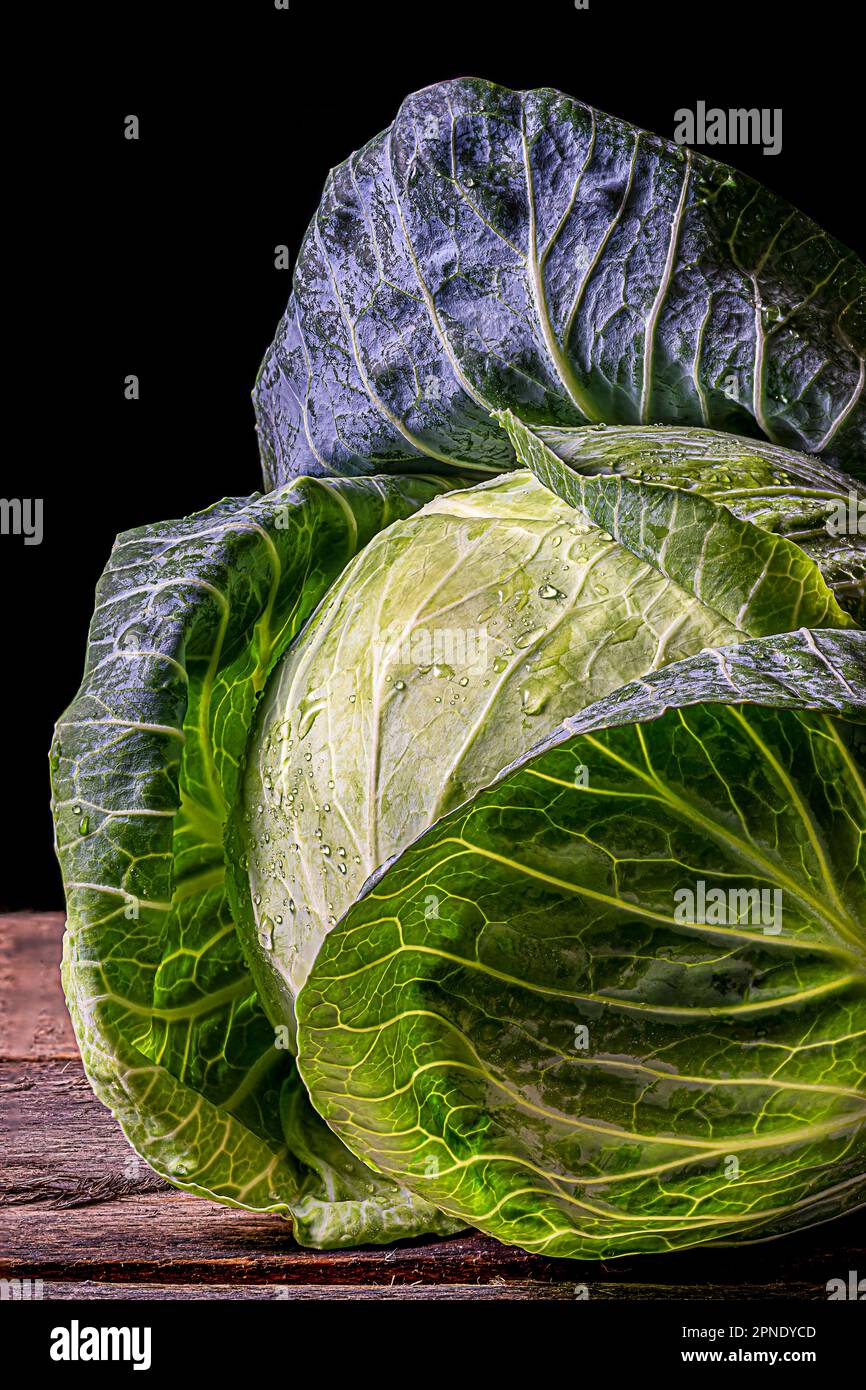 Cabbage head plant hi-res stock photography and images - Alamy
