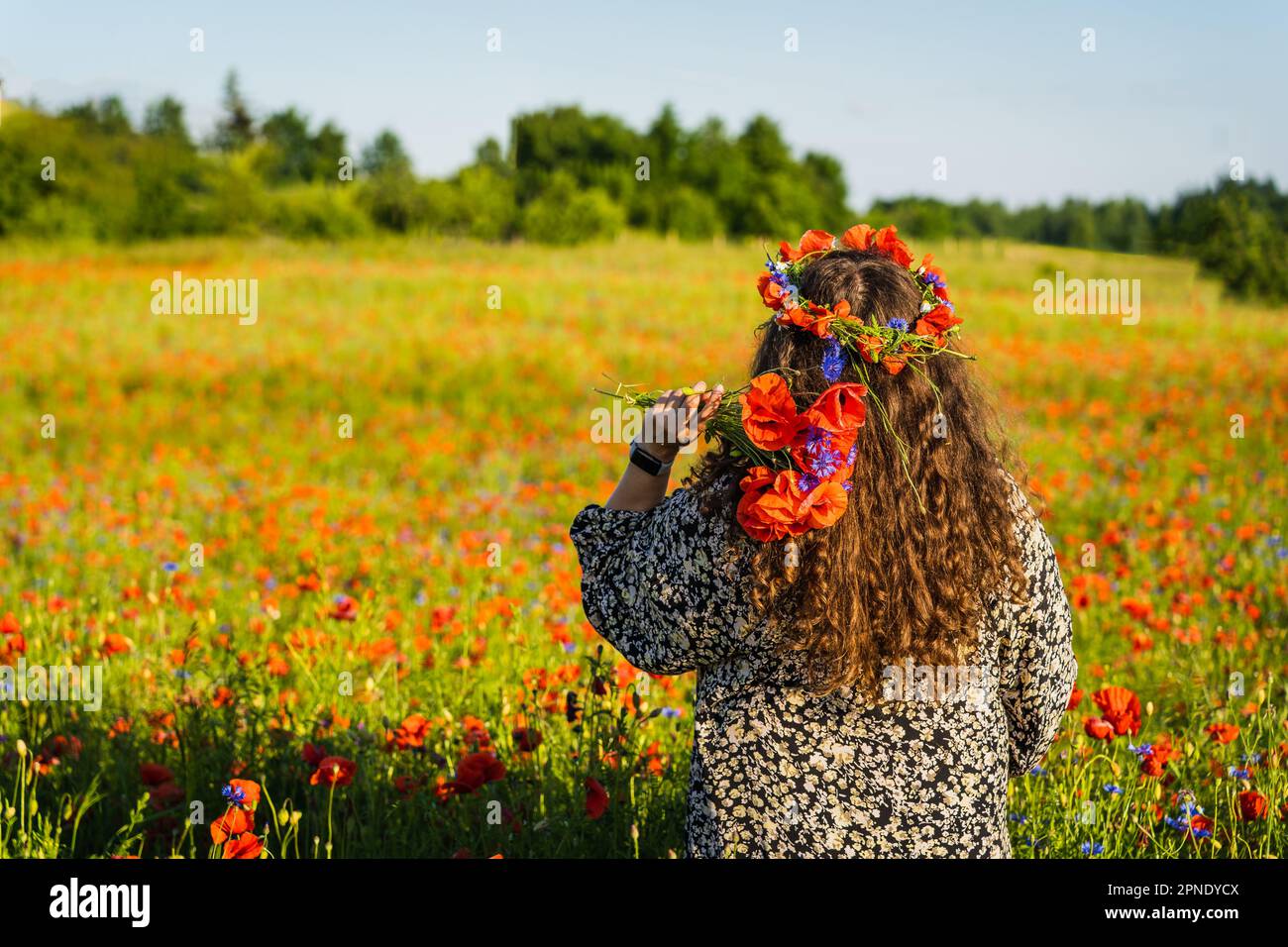 A long-haired curly woman plus size stands among a poppy meadow in a ...
