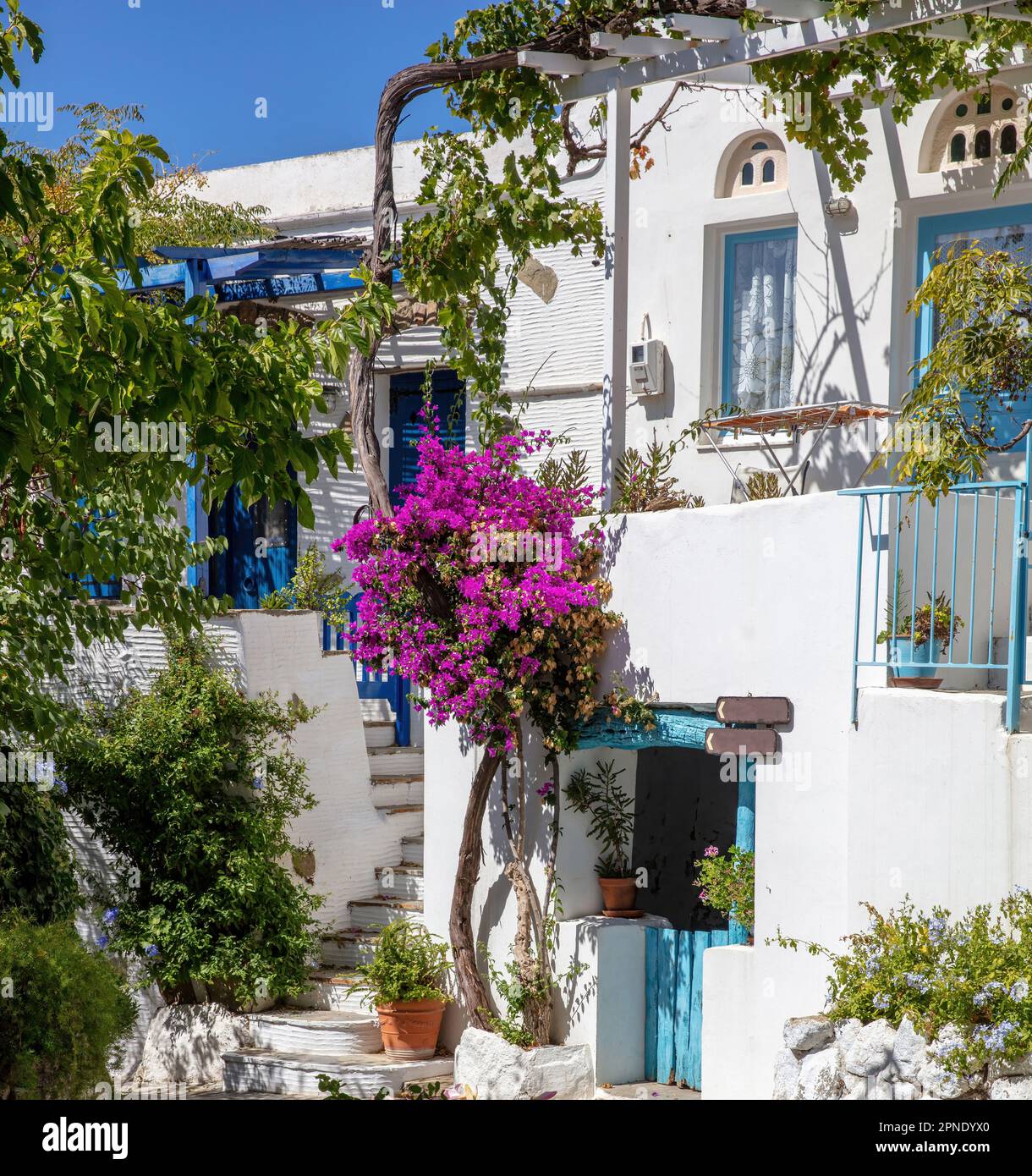Tinos island Greece. Cycladic architecture at Volax village. Paved ...