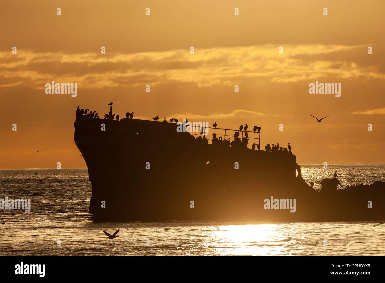 Silhoutte of the SS Palo Alto near sunset, an old World War II ...