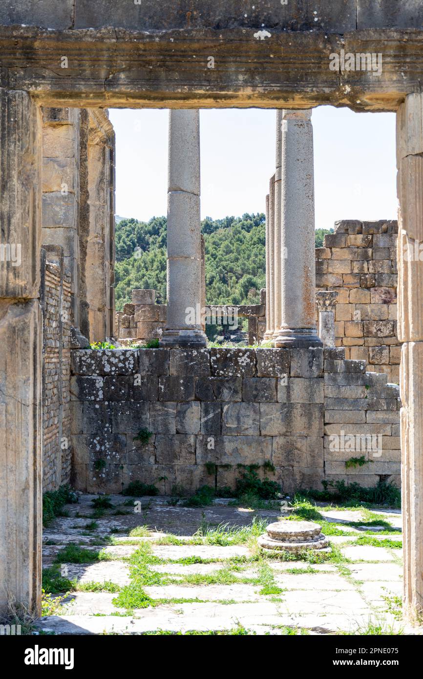 Roman ruins in the ancient city of Cuicul-Djemila. UNESCO world ...