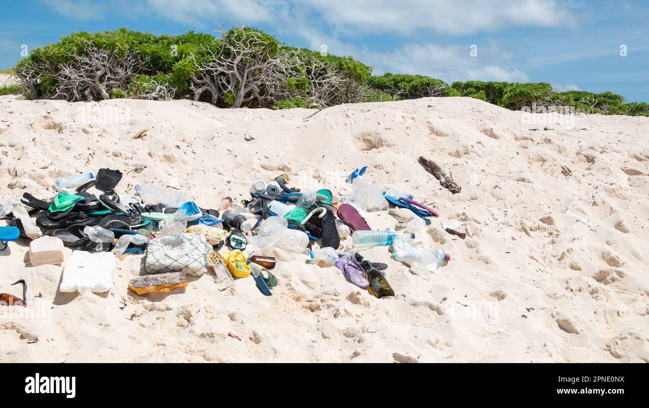 Global ecological problem with plastic waste washed up on beaches ...