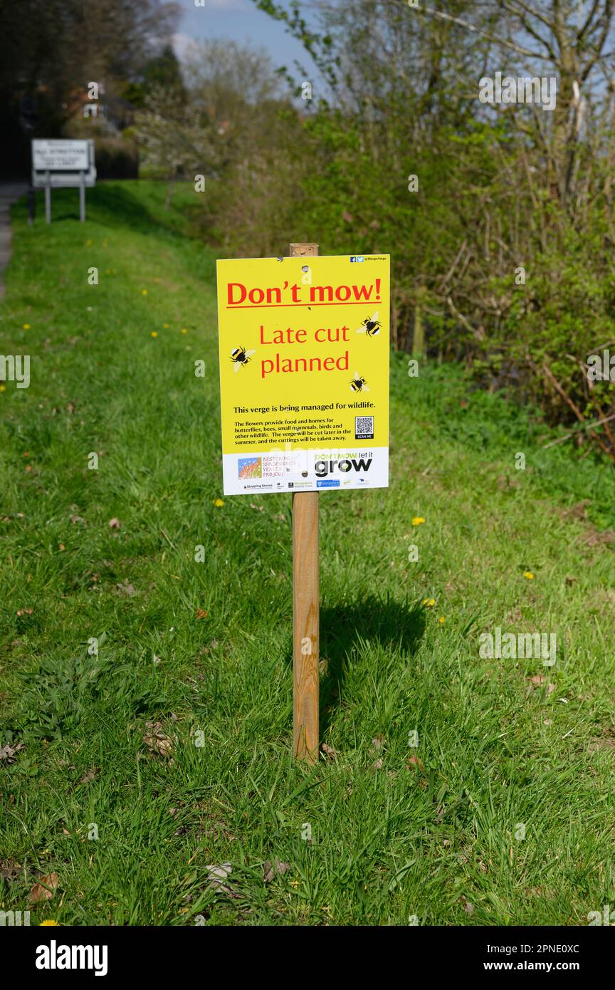 Managed verge for wildlife hi-res stock photography and images - Alamy