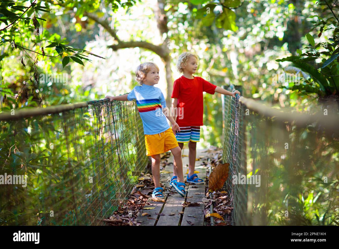 Kids hiking in the mountains. Boy walking on suspension bridge over ...