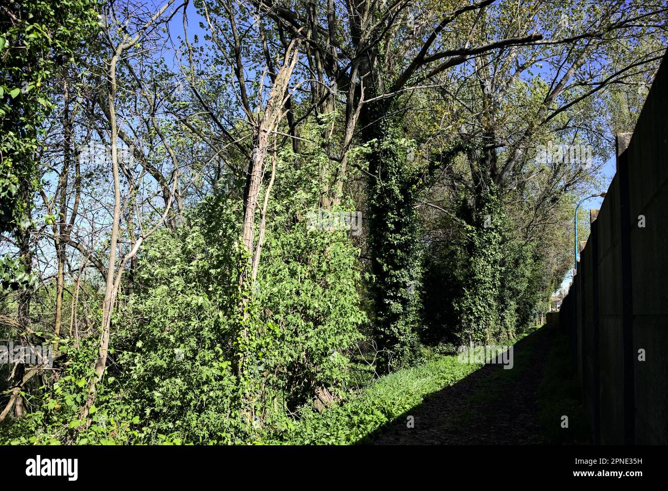 Path bordered by a concrete boundary wall of an industrial complex in a ...