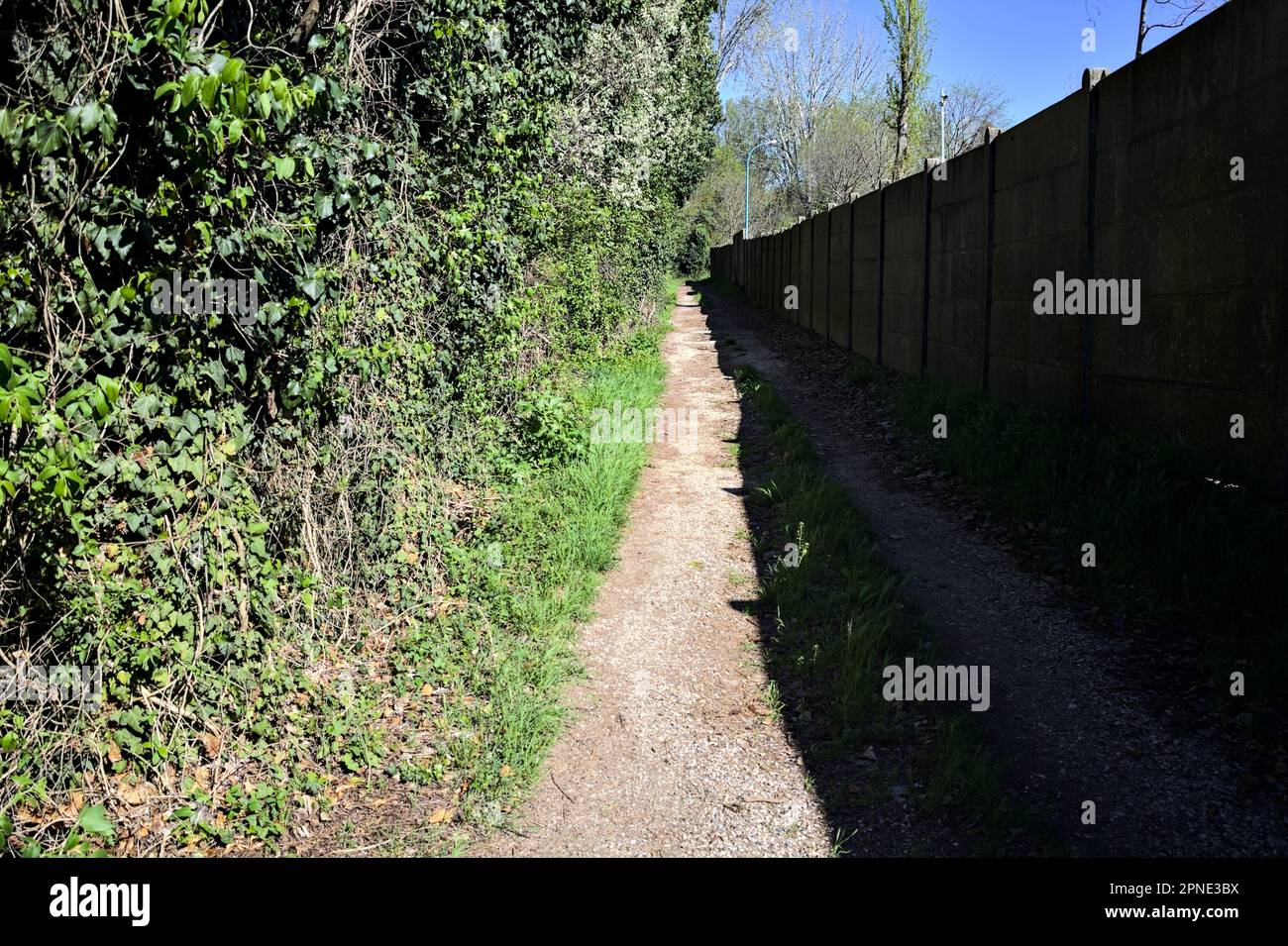 Path bordered by a concrete boundary wall of an industrial complex in a ...