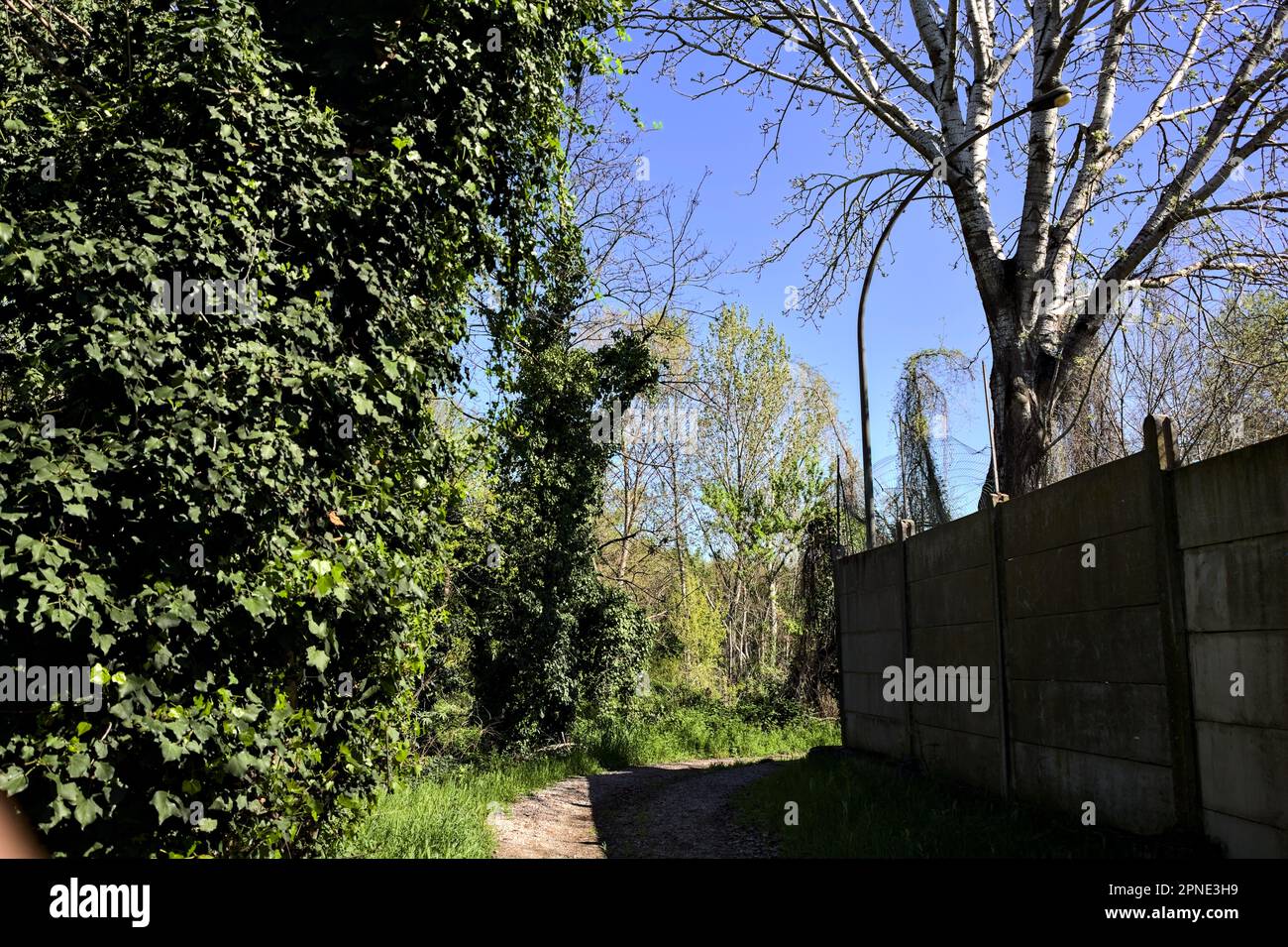 Path bordered by a concrete boundary wall of an industrial complex in a ...