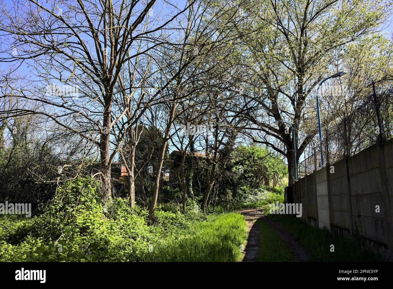 Path bordered by a concrete boundary wall of an industrial complex in a ...