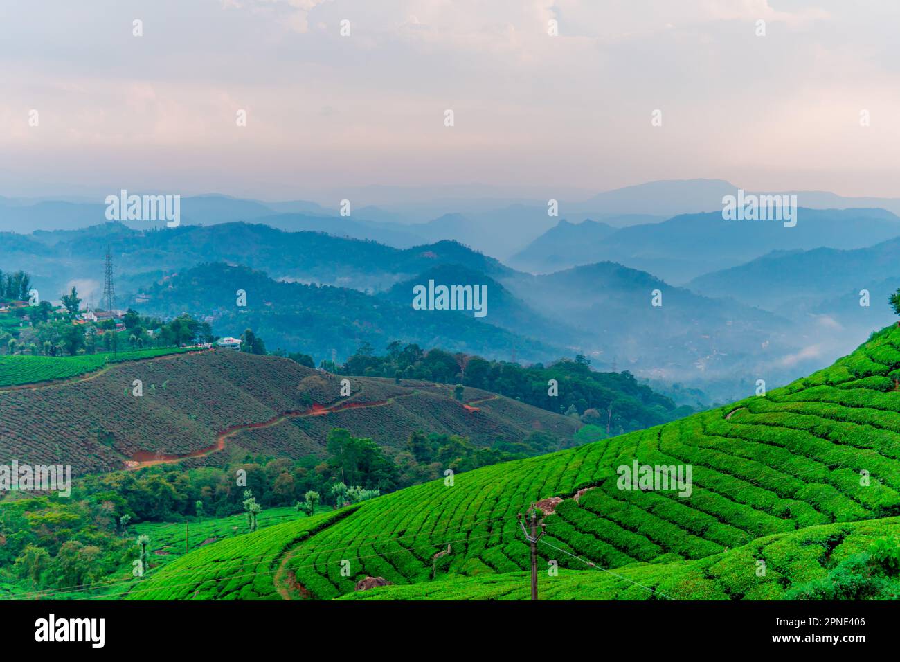 Beautiful tree plantation in a mountain valley with mountains and sky ...
