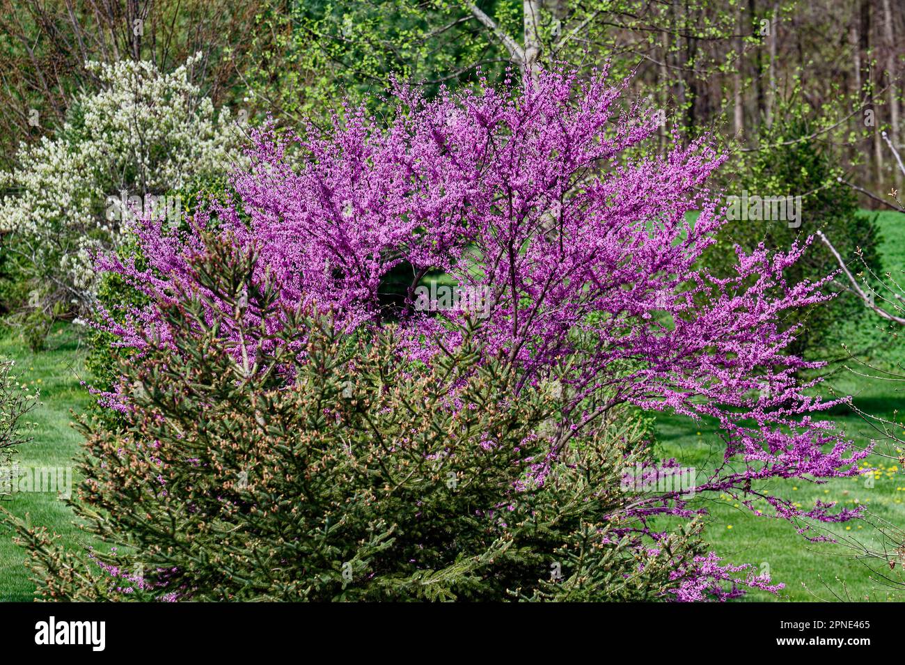 Pr chester county hi-res stock photography and images - Alamy