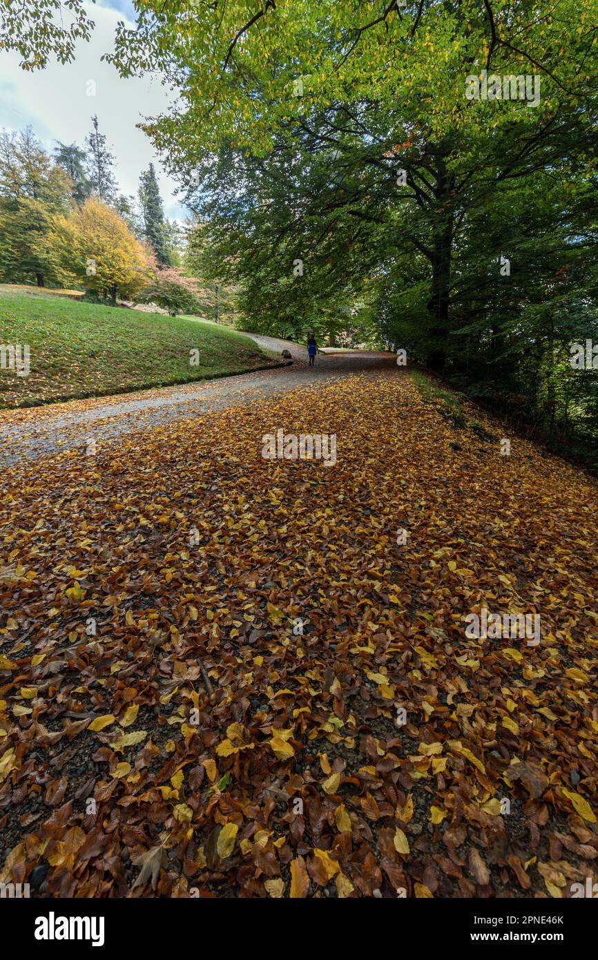 Sentiero sentiero sentiero percorso hi-res stock photography and images ...