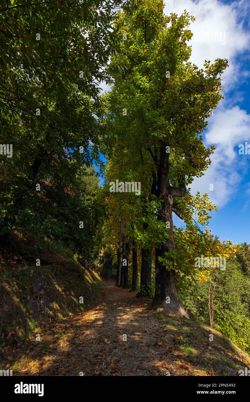 Sentiero sentiero sentiero percorso hi-res stock photography and images ...