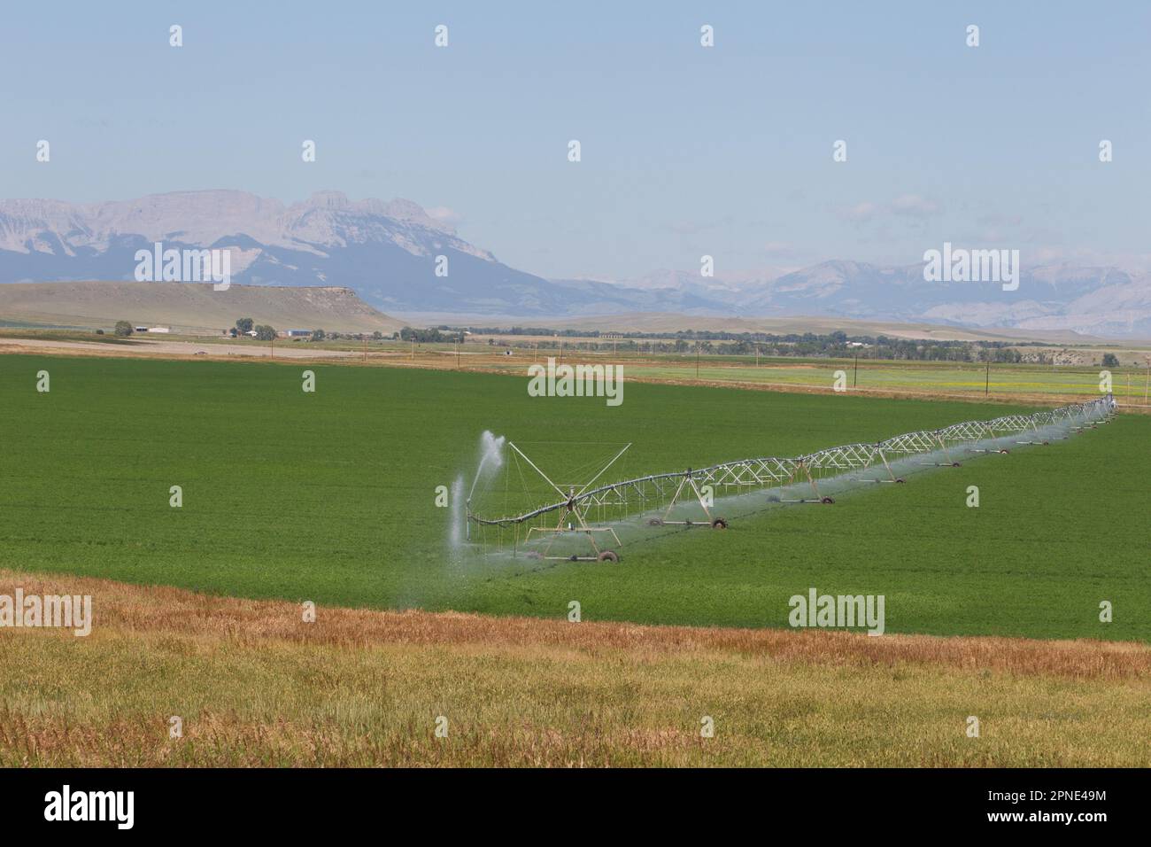 Center-pivot irrigation system delivers water to an alfalfa field near ...