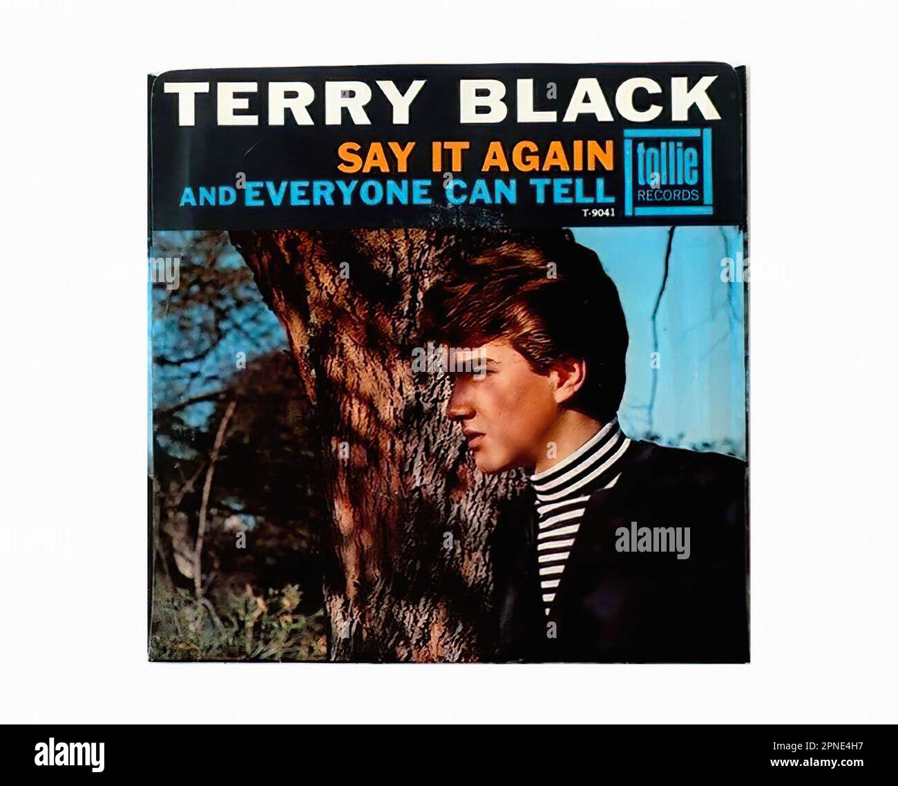 Black terry hi-res stock photography and images - Alamy