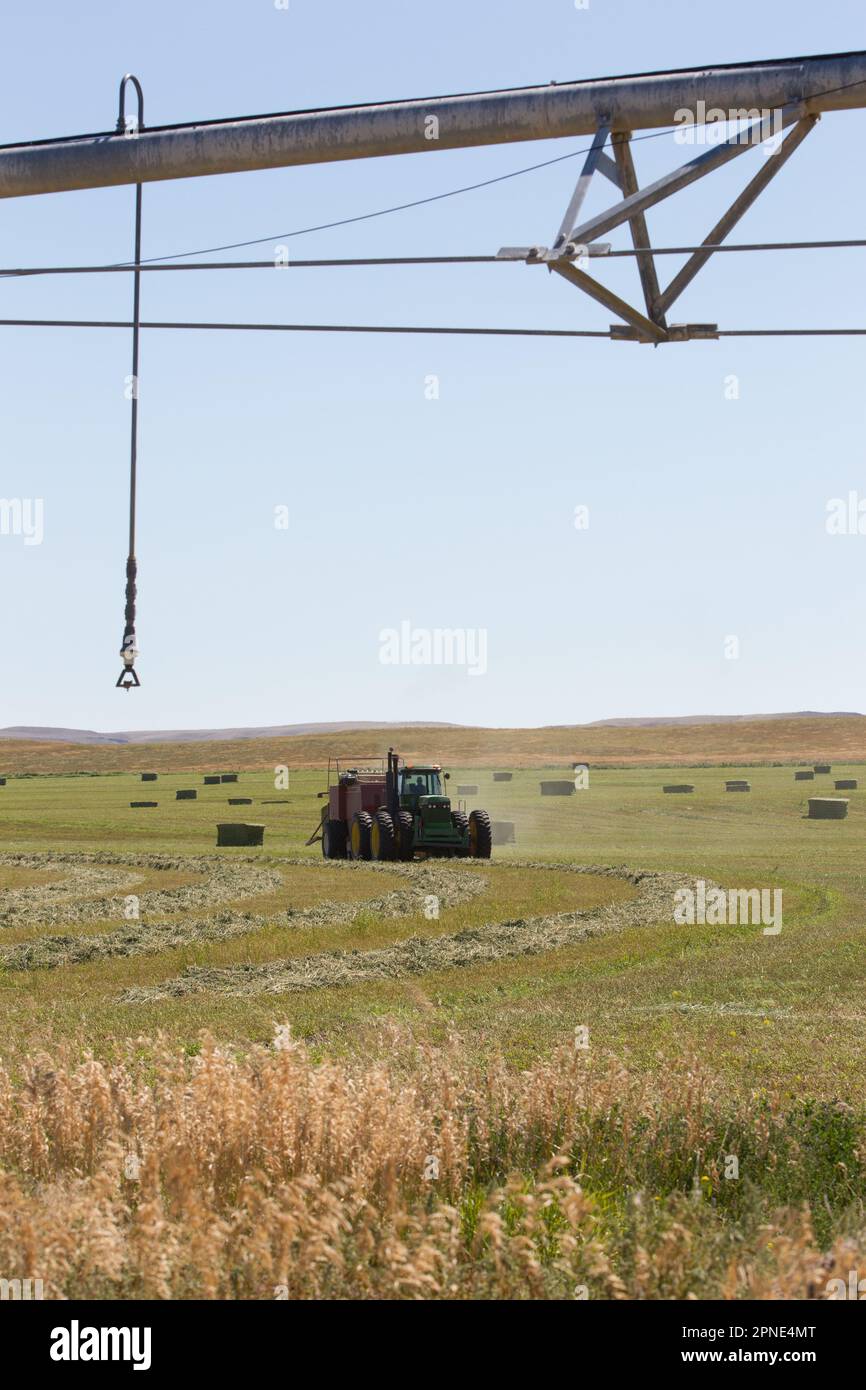 Framed by parts of the field's center-pivot irrigation system, a baler ...