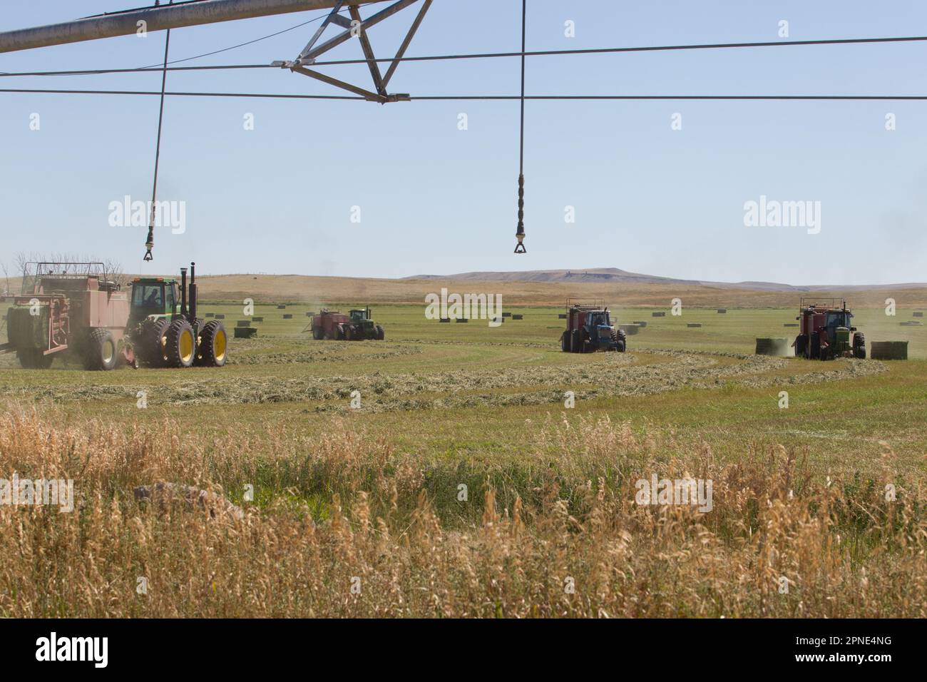 Framed by parts of the field's center-pivot irrigation system, four ...
