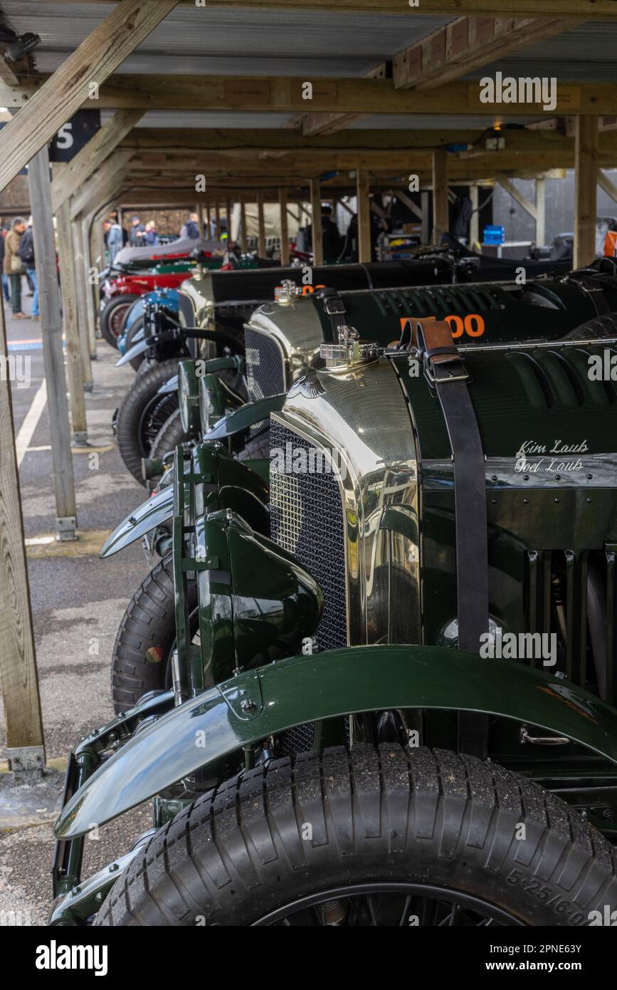 Race cars in the paddock at the goodwood members meeting 80 hi-res ...