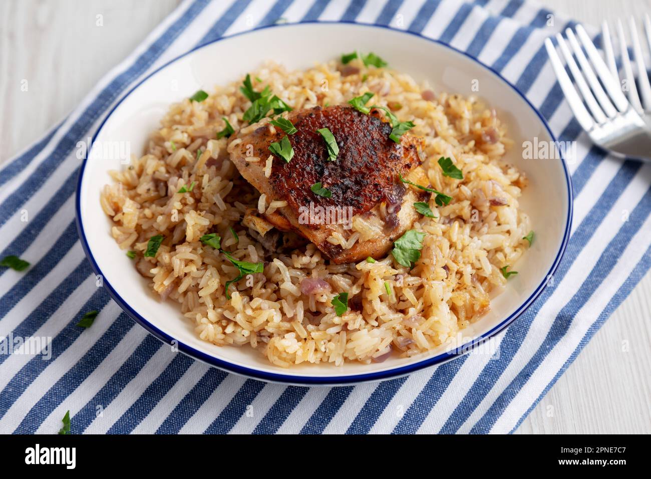 Homemade Paprika Chicken and Rice on a Plate, side view Stock Photo - Alamy