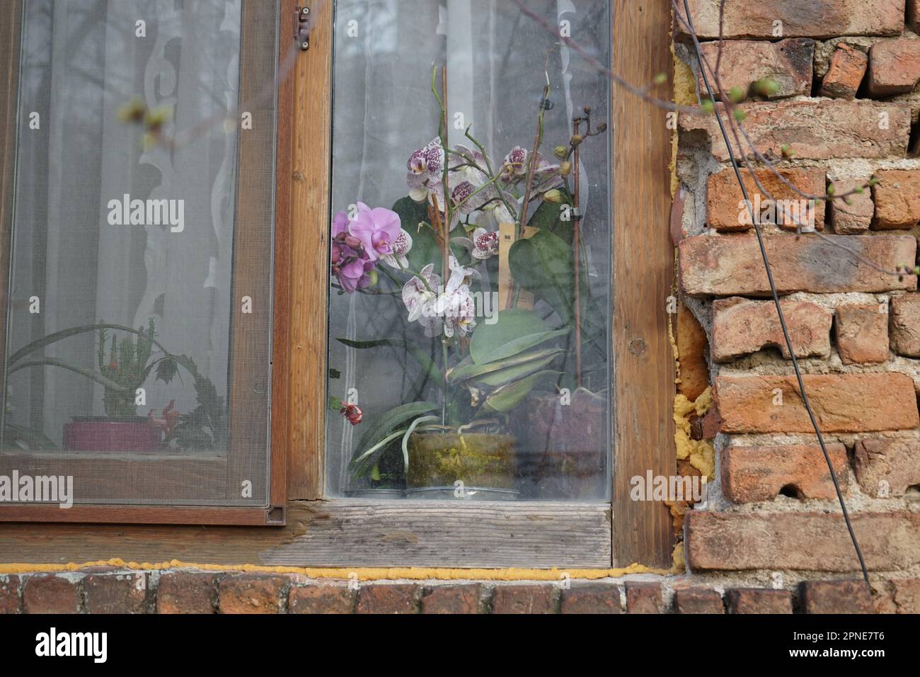 Beautiful calendar wallpaper hi-res stock photography and images - Alamy