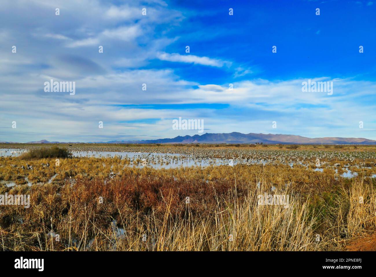 Sulphur springs valley arizona hi-res stock photography and images - Alamy