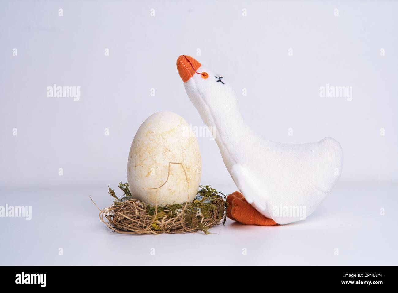 Goose eggs on a nest with a stuffed goose Stock Photo - Alamy