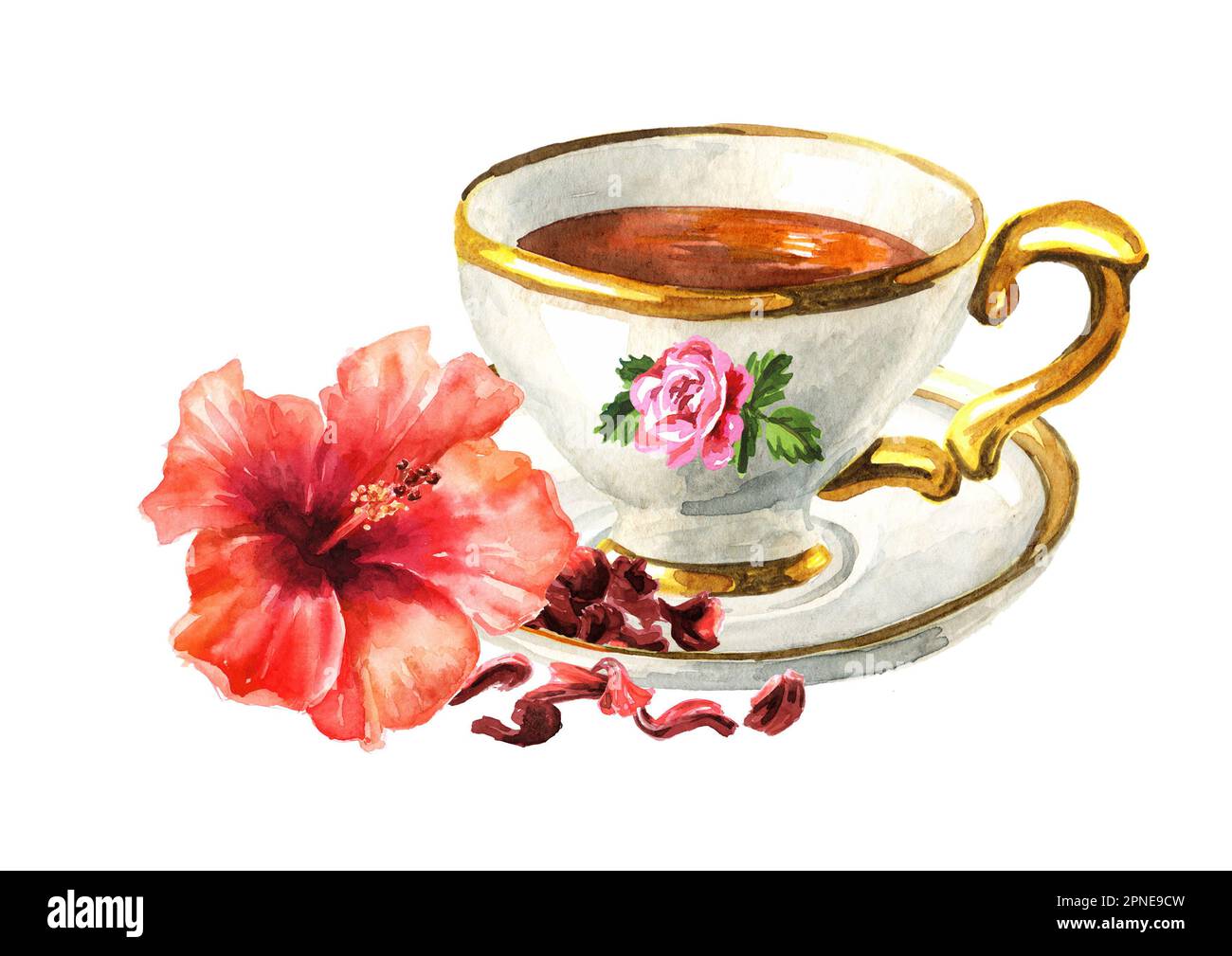 Fresh and dried flowers hibiscus petals, karkade, cup of tea and Tea ...