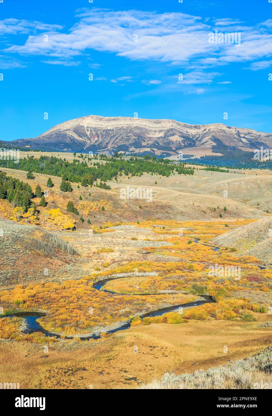 upper ruby river in autumn below hogback mountain in the snowcrest ...