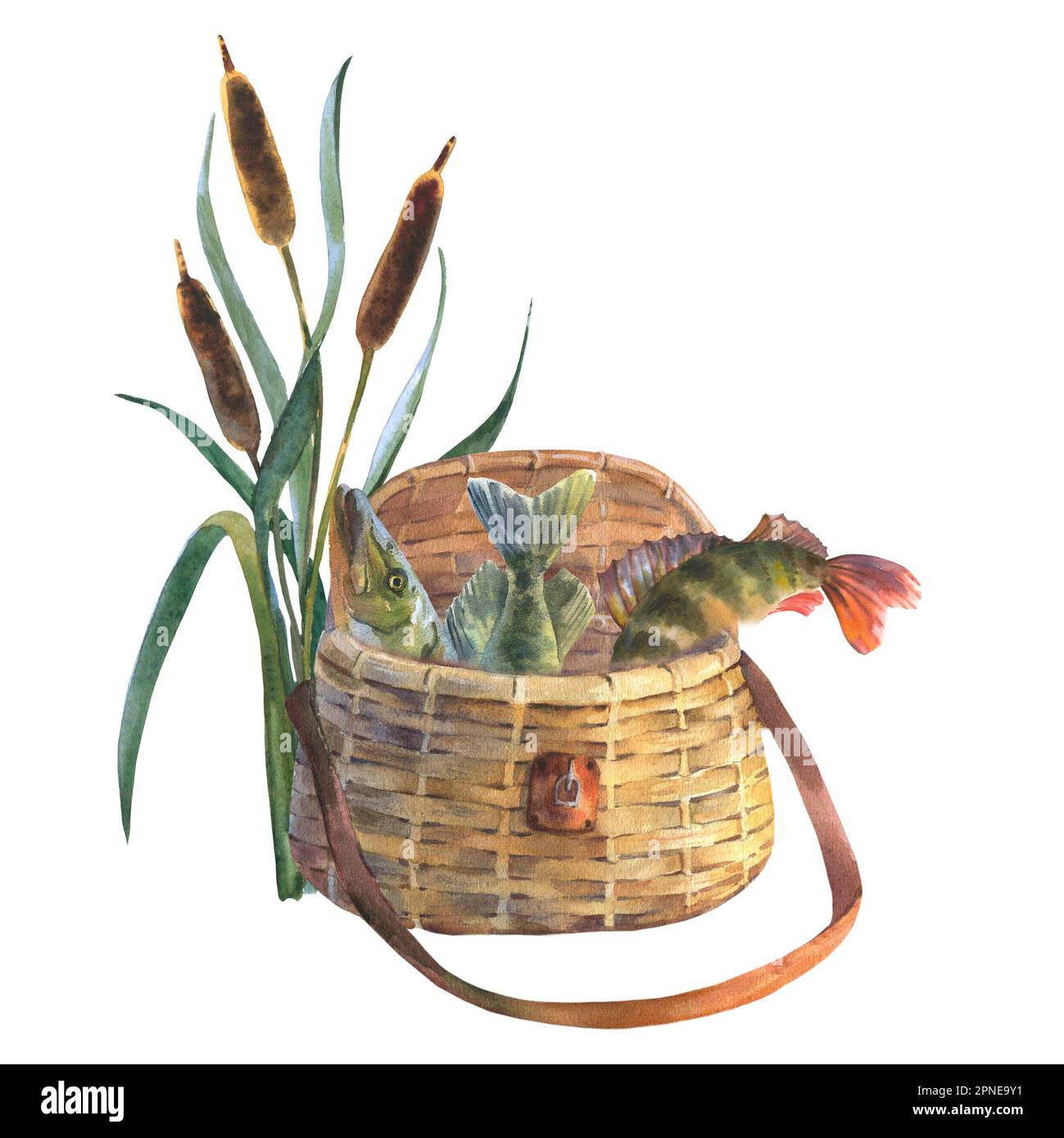 Vintage fishing postcards Cut Out Stock Images & Pictures - Alamy