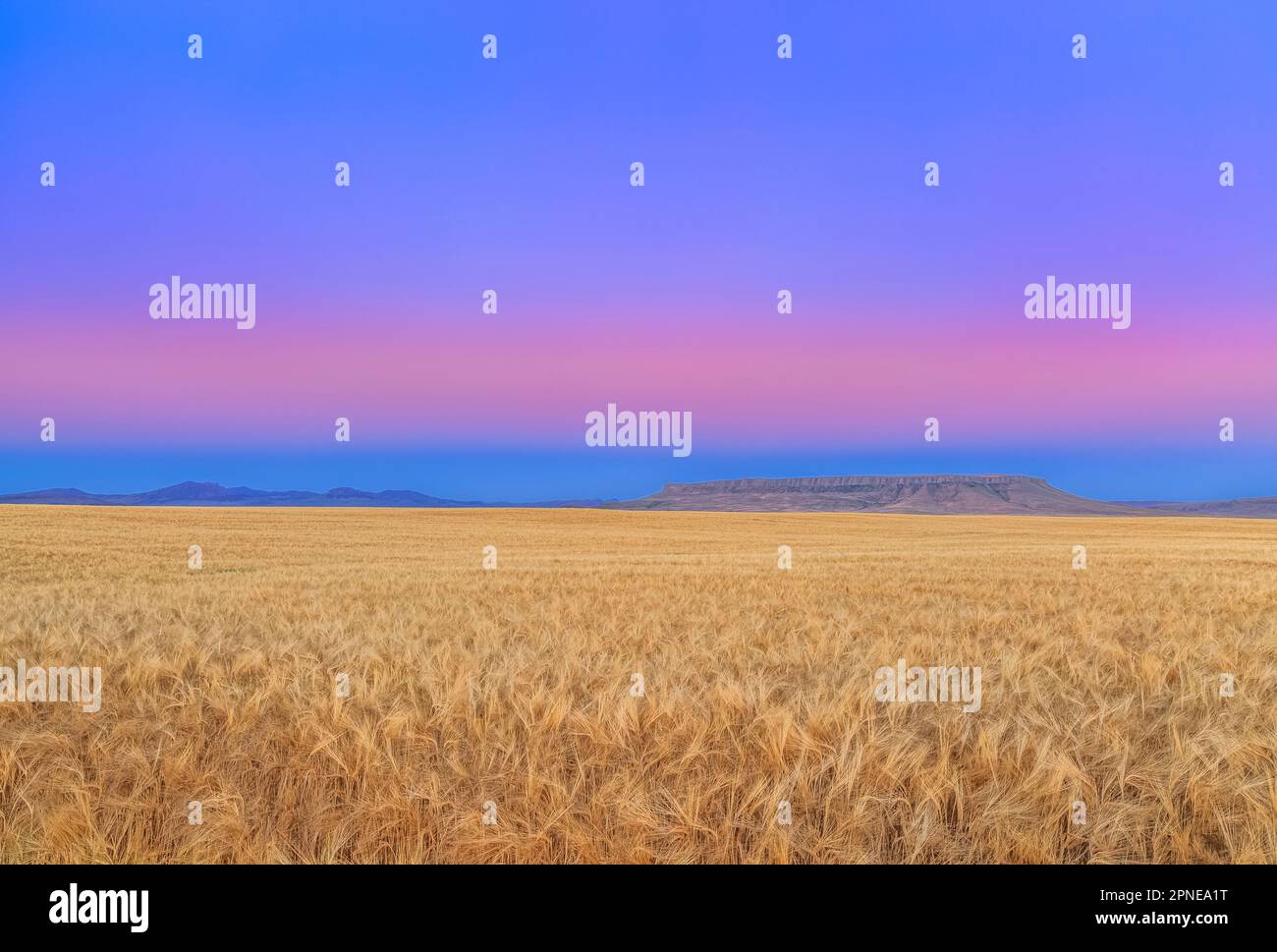 Dawn and agriculture hi-res stock photography and images - Alamy