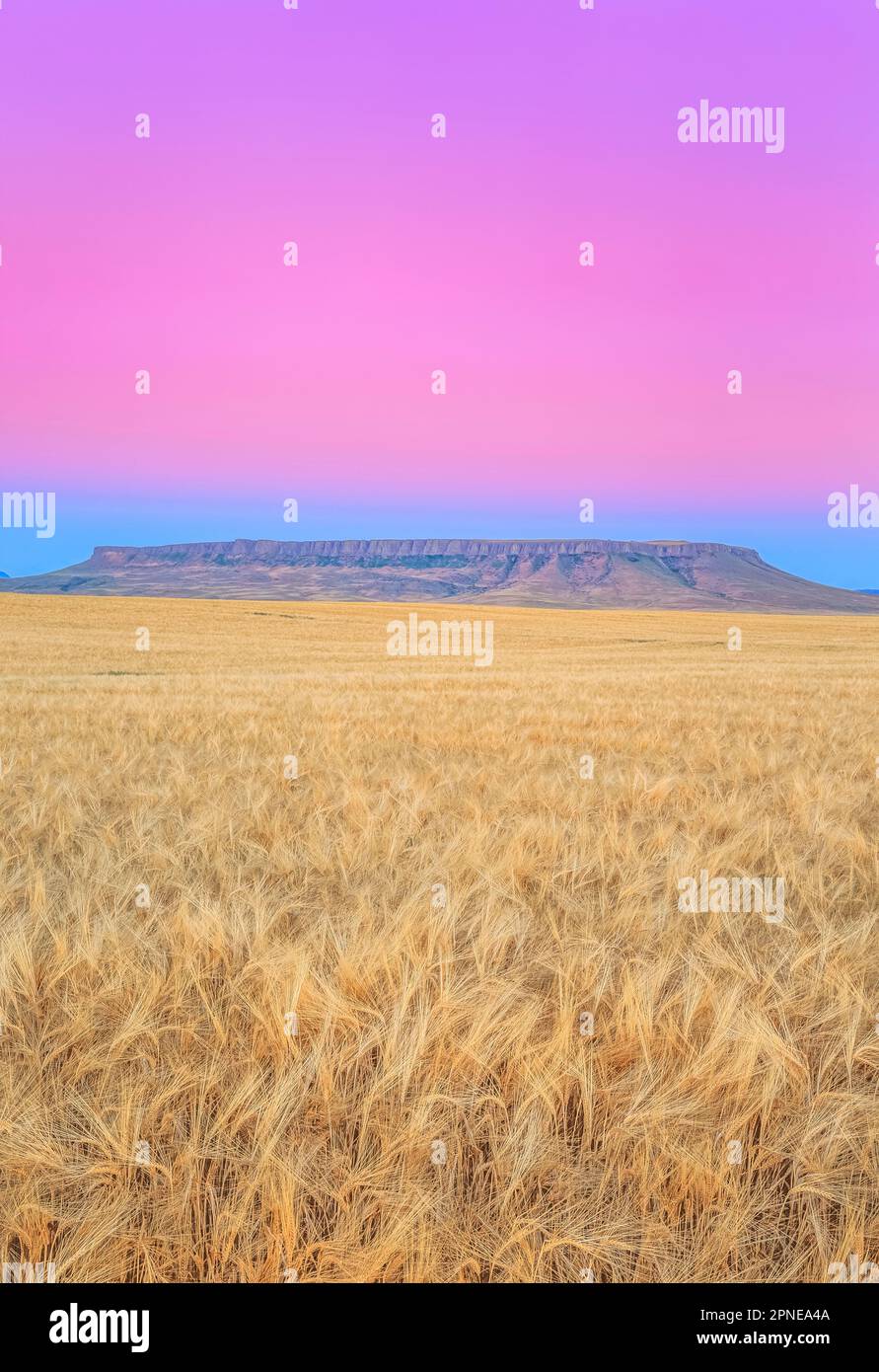 Dawn and agriculture hi-res stock photography and images - Alamy