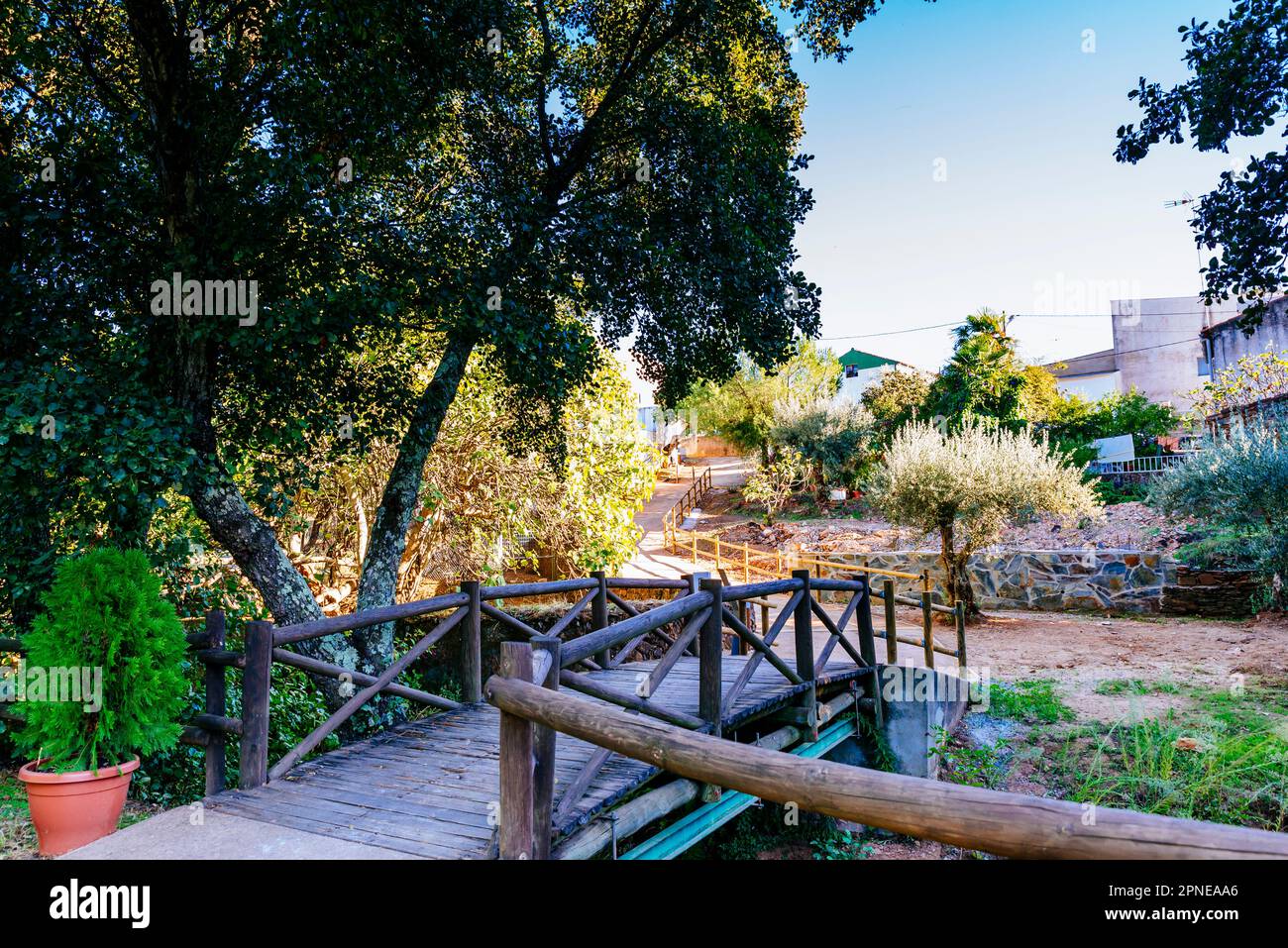 Codossera hi-res stock photography and images - Alamy