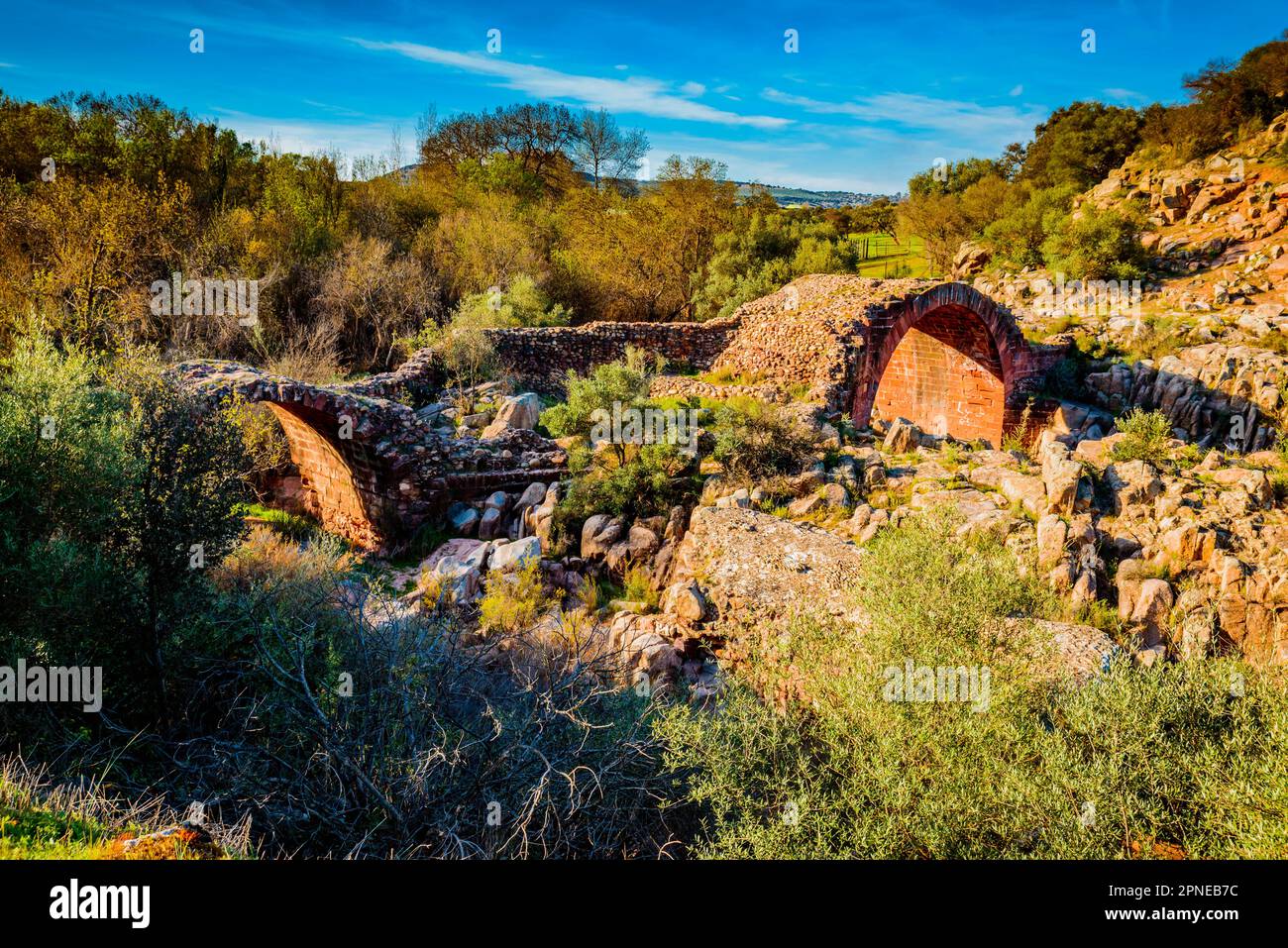 El pielago hi-res stock photography and images - Alamy