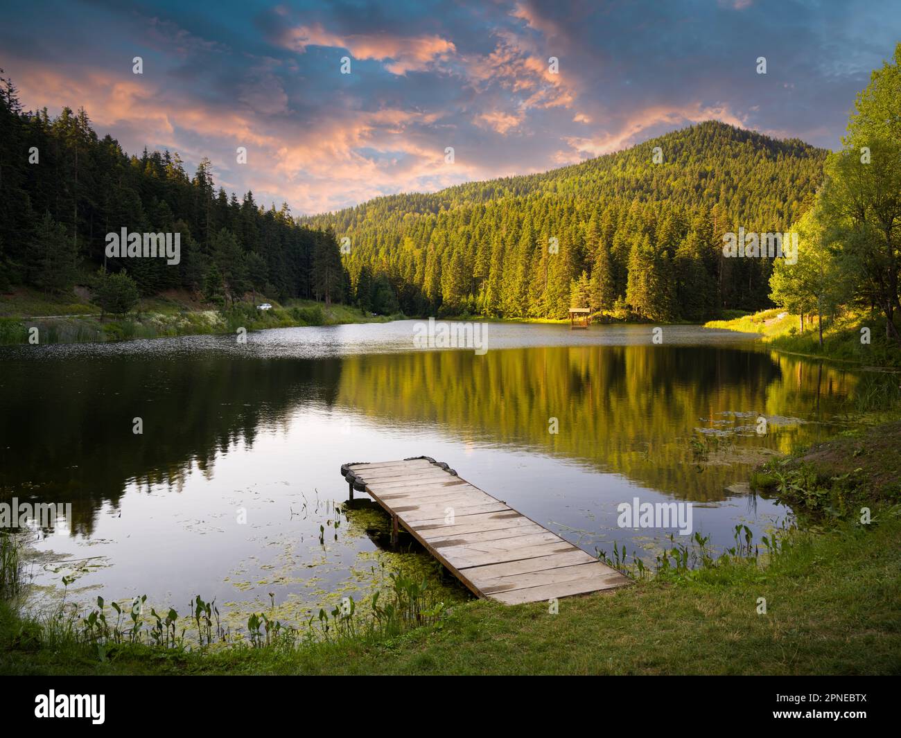 Beautiful forest lake sunset hi-res stock photography and images - Alamy