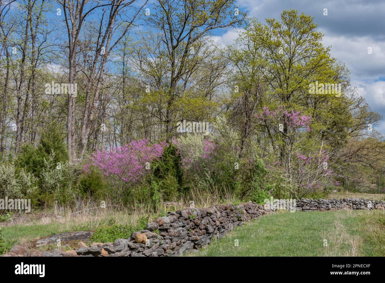 A Spring Walk at the Gettysburg Battlefield, Pennsylvania USA ...