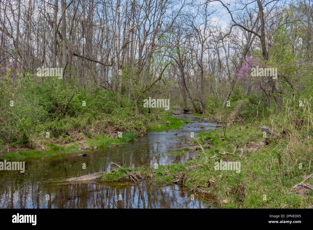 Willoughby Run on a Spring Afternoon, Gettysburg Pennsylvania USA ...