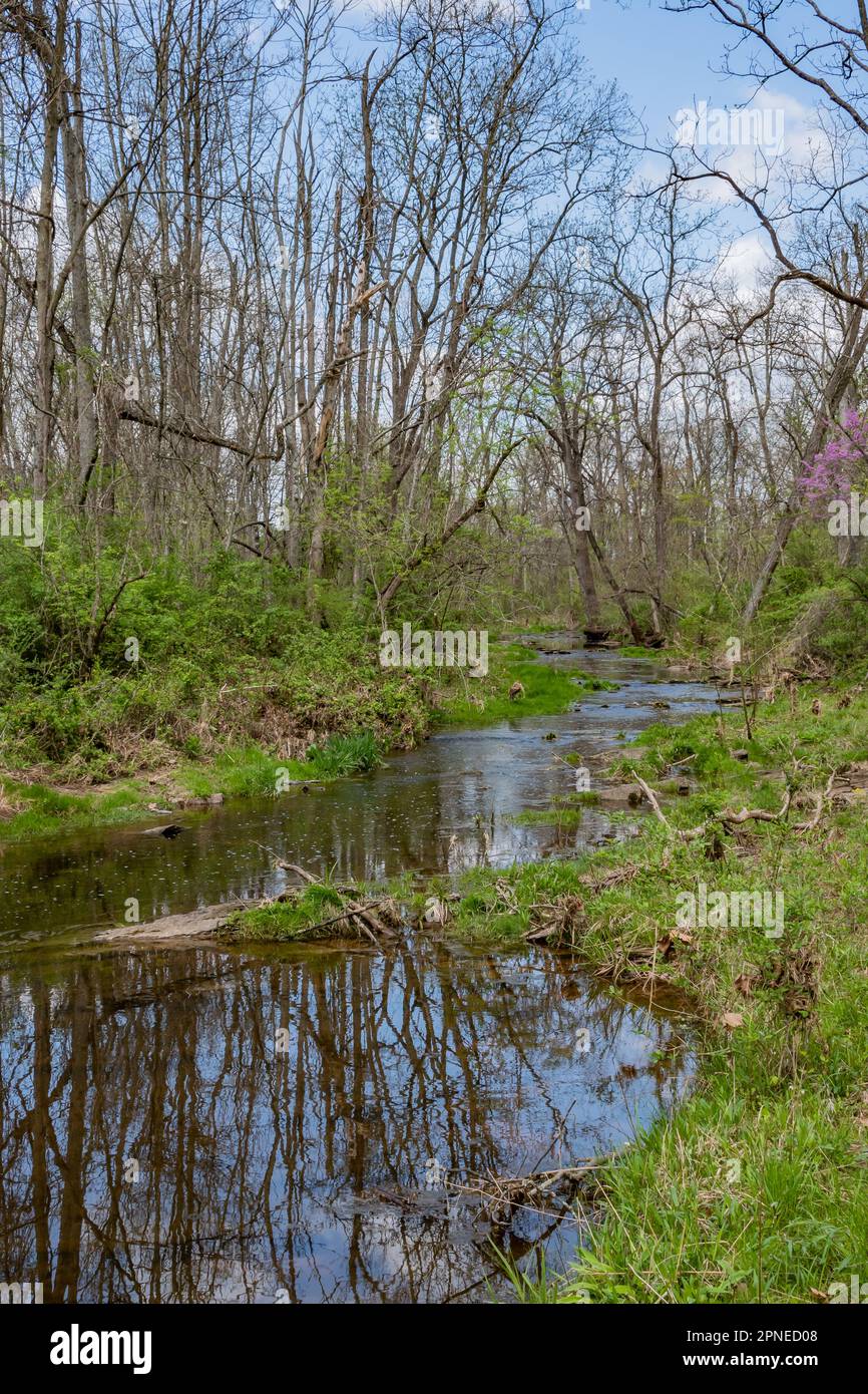A Stroll Along Willoughby Run on a Spring Afternoon, Gettysburg ...