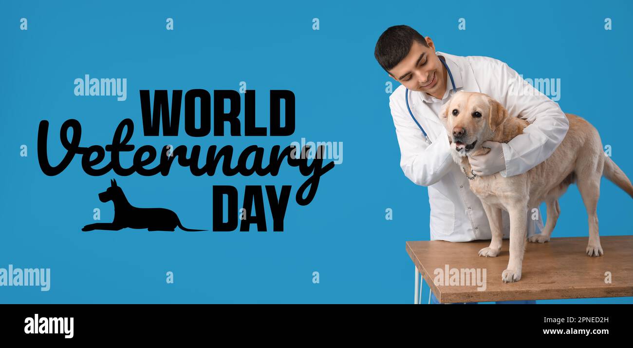 Banner for World Veterinary Day with veterinarian and cute dog Stock ...